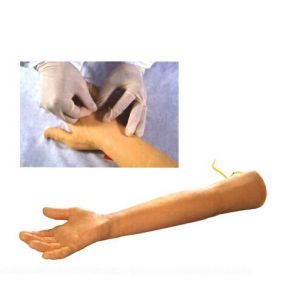 Advanced elderly venipuncture training arm model-Medical Series
